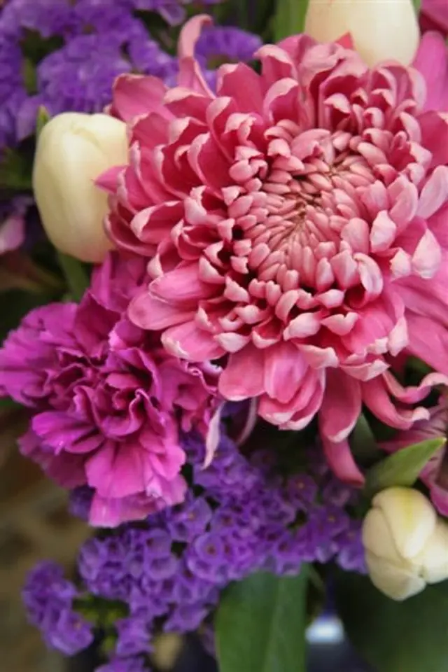 Royal- Designer's Best