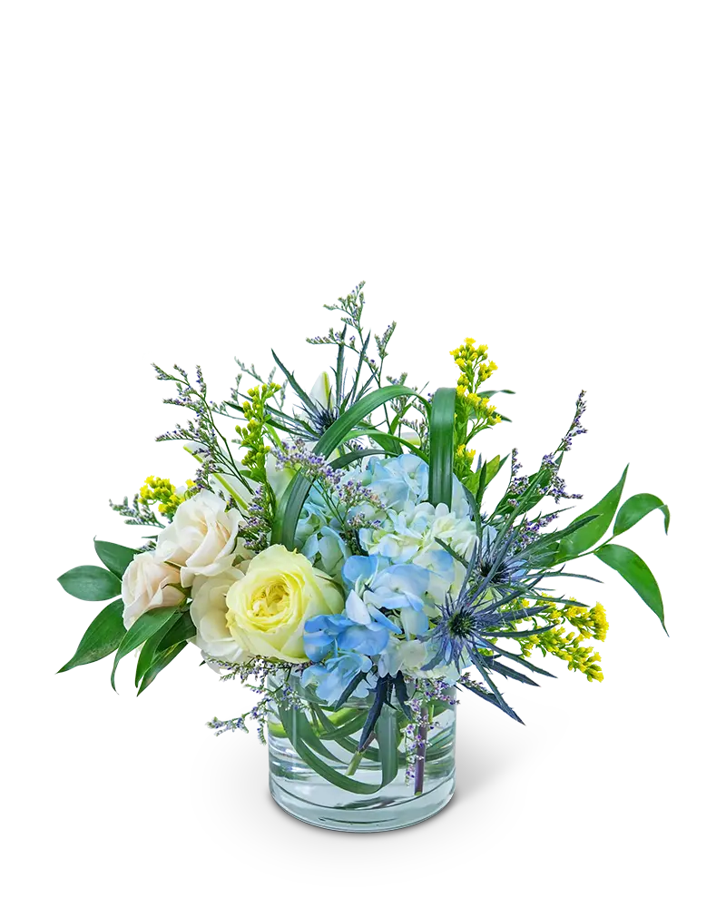 Wilde Blue