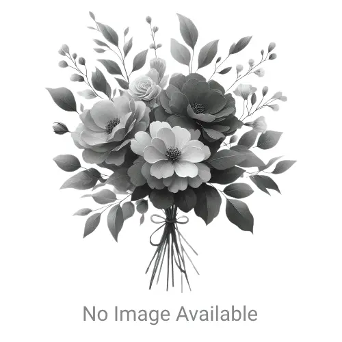 Home - Local Florist in Floyd VA Blue Ridge Florist & Gifts